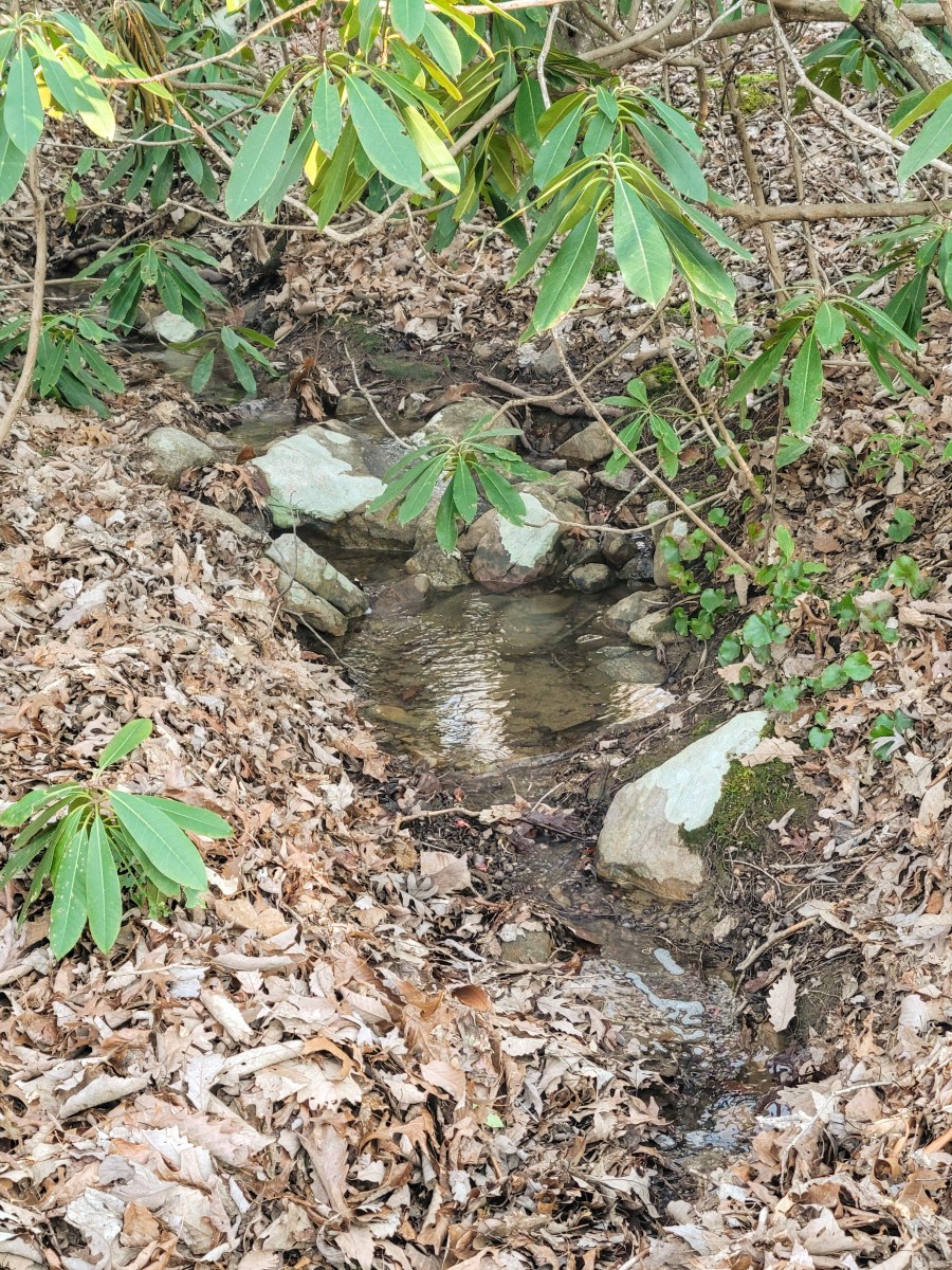 Getting the full experience – Chasing Adventure